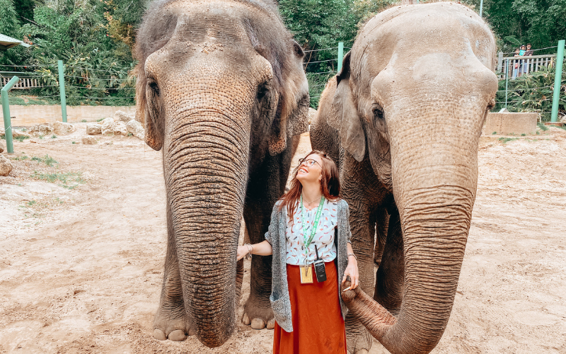 A Dream Come True: My Unforgettable Encounters with Elephants – Rosè Nomad