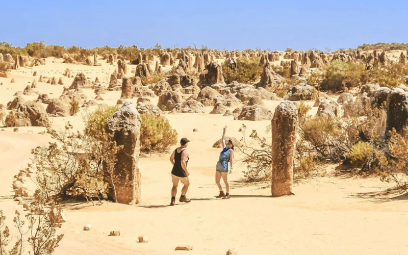 The Pinnacles Western Australia: Your Guide to a Stunning Desert Day ...
